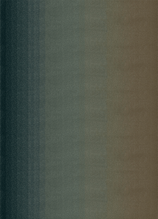 Ferreira de Sa Gradient Caribou - Vloerkledenwinkel